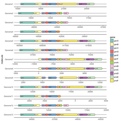 Gene Orientation Issue Wilkox Gggenes GitHub