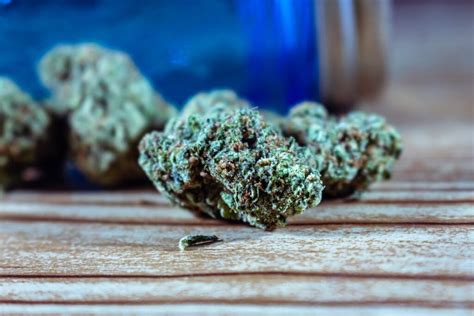 Best Cannabis Strains For Sex