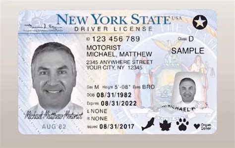 Nys Id V Idnyc Which Identification Is Right For You Project New Yorker