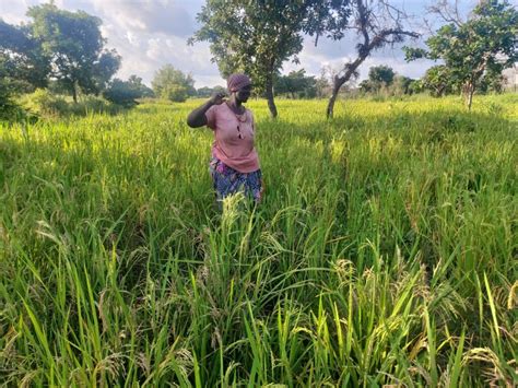 The Womens Fund For Climate Resilient Agriculture
