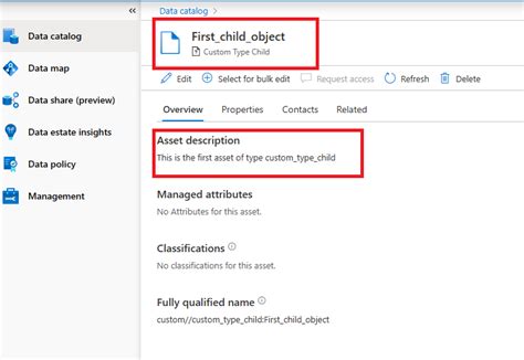 Type Definitions And How To Create Custom Types In Microsoft Purview