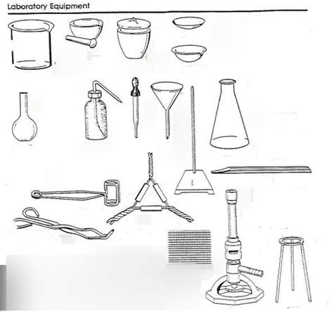 Unit 1 Density Scientific Method Scientific Method Diagram Quizlet