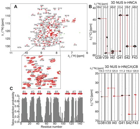 nmr backbone assignment and secondary structure determination of ompx