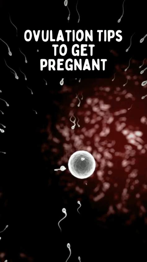 Ovulation Tips To Get Pregnant Super Fast