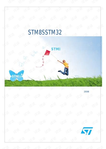 Stm8s与stm32选型指南：性能对比与应用灵活性 Csdn文库