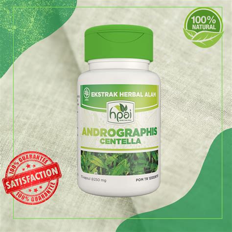 Promo Andrographis Centella Hni Hpai Kapsul Ekstrak Sambiloto Alang Alang Pegagan Lazada