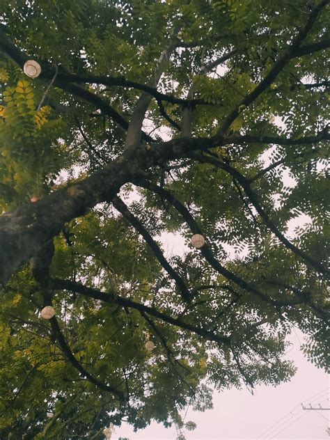 A Random Homework And He Was My Subject By Nairobi Medium