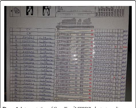 Figure 1 From Performance Assessment Of The Genotype®mtbdrplus Assay