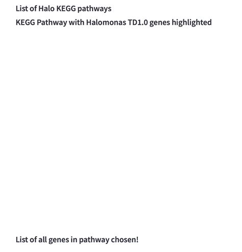 Issues Displaying A PDF In Streamlit App Community Cloud Streamlit