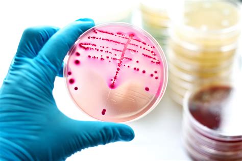 Scientists Develop First Vaccine To Protect Against Gonorrhoea The