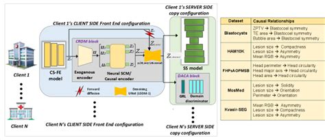 Mucald Splitfed Causal Latent Diffusion For Privacy Preserving Multi