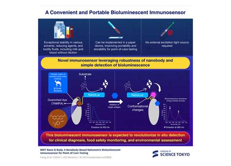 Nanobody Based Immunosensor Enables Robust Poc Testing Clinical Lab