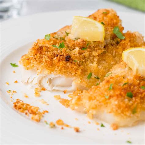Scrod Recipes