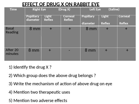 Lignocaine On Rabbit Eye Pdf