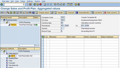 copa planning sap community