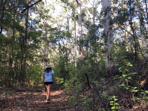 Best Margaret River Walking Trails And Hikes Western Australian Travel