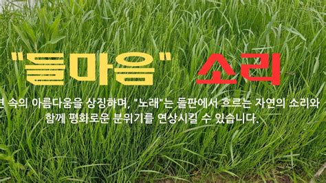 자연의소리 물 소리 스트레스 해소 마음의 평화 마음의 치유 힐링 Youtube