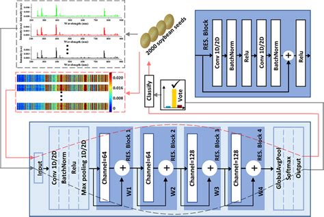 The Soybean Seeds Classification Flowchart Including Data Input Download Scientific Diagram