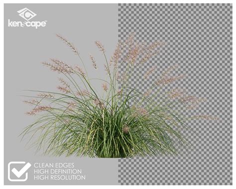 80 Grass Photo Overlays For Photoshop Grass Landscape Plants