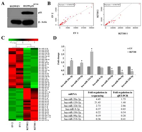 Scatter Plot And Heat Map Of Rna Seq Expression Analysis Scatter Plots