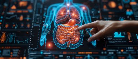 Expert Input Stock Illustrations 56 Expert Input Stock Illustrations Vectors And Clipart