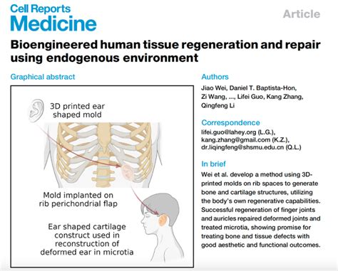 Cell子刊 上海交通大学李青峰 魏皎团队发表关于内源性人体组织再生和修复的原创性文章 知乎