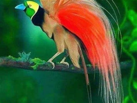 Tabit Kanal Porn300 Com