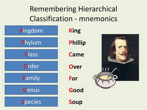 Ppt The Art Of Classification Making Sense Of Chaos Powerpoint Presentation Id 6505109