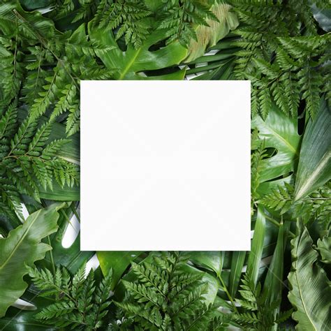 네온 트로피컬 열대식물 백그라운드 프레임 사진이미지일러스트캘리그라피 Lhg작가