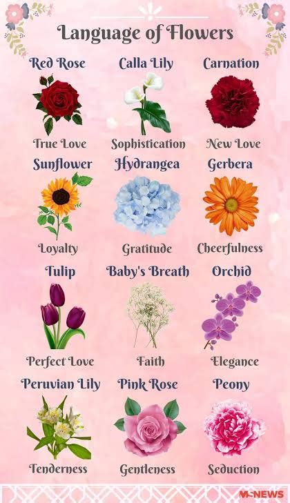 The Language Of Flowers Symbolism And Cultural Significance Across The