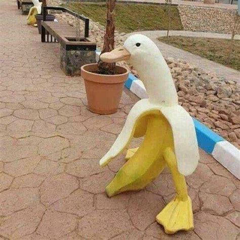 Creative Art Banana Duck Chyhua