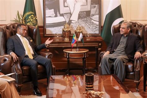 Ambassador Dr Jemal Calls On Interior Minister The Gulf Observer