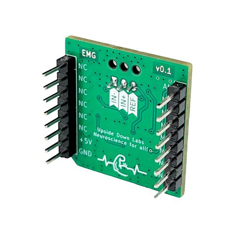 Muscle BioAmp Blip