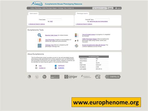 Ppt Mining Phenotype Databases To Identify Mouse Models Of Clinical Relevance Powerpoint