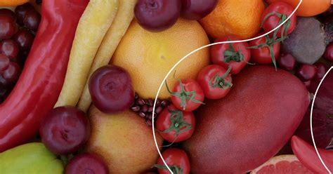 Paper Release Shift To Healthy And Sustainable Consumption Patterns Swissnex In Brazil