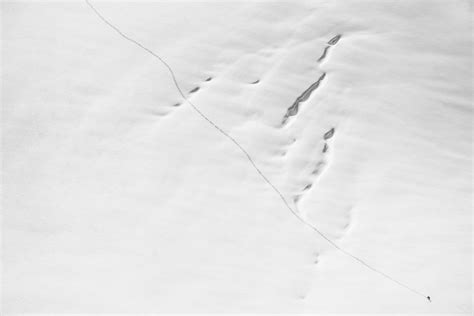 A Short Story About The Snow Wanderer Cembrzynski Ignacy