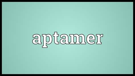 Aptamer Meaning Youtube