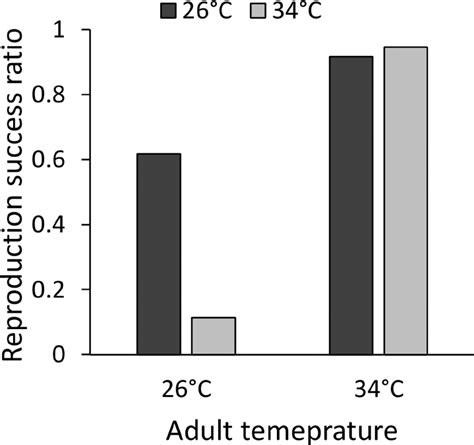 Adult Temperature X Axis Positively Affected The Reproductive Success Download Scientific