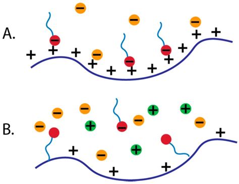 Intermolecular Interactions In Polyelectrolyte And Surfactant Complexes