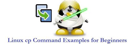 Useful Cp Command Examples For Linux Beginners LPI Central