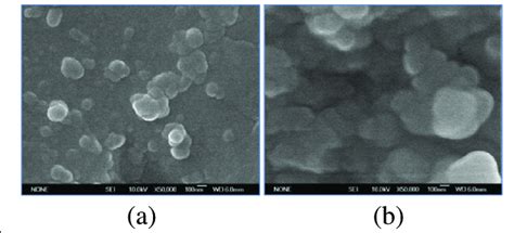 Morphology Of The Hybrid Materials A 10 Pdms Oh B 20 Pdms Oh Download Scientific Diagram