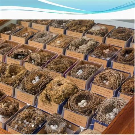 სკოლა ჯეჯილი • Jejili School School Tbilisi Georgia Facebook 30 Reviews 5 862 Photos