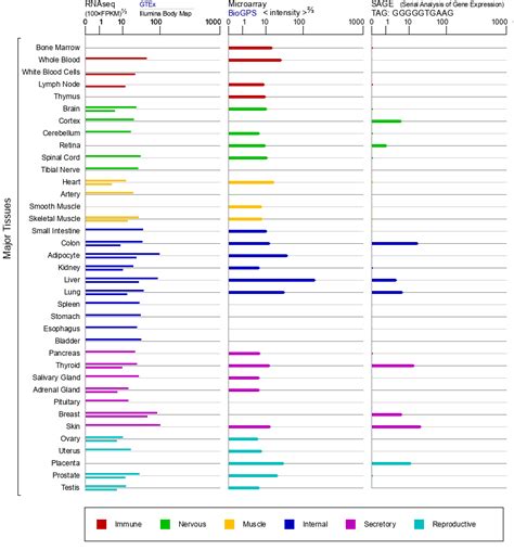 Cebpa Gene Genecards Cebpa Protein Cebpa Antibody