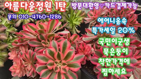 아름다운정원 1탄 특가세일 에어니옴속 ♡핑크요정♡소화금♡미드썸머나이트 ♡자옥별♡먼로군생♡후레뉴 등등 20할인 오늘도 이쁜아이들 많아요 5만원이상 선물증정 Youtube