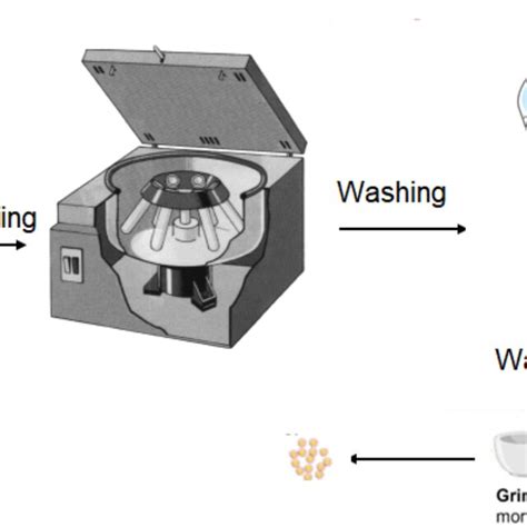 Schematic Diagram Of The Functionalisation Process Of Batio3 With