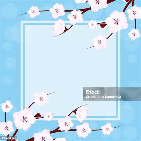 초대장 배너 카드 포스터 벚꽃 전단지에 대 한 템플릿 디자인 텍스트를 위한 장소 봄 꽃입니다 벡터 그림 0명에 대한 스톡 벡터 아트 및 기타 이미지 Istock