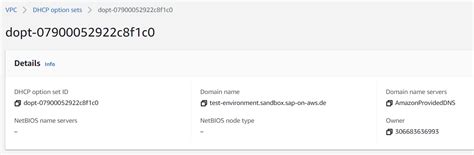 Hostname Resolution And Dns With Sap On Aws Tecracer Amazon Aws Blog