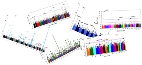 Gwas Summary Statistics Scientific Computing And Data