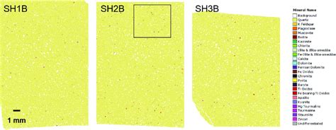 automated sem eds qemscan mineralogical maps for polished